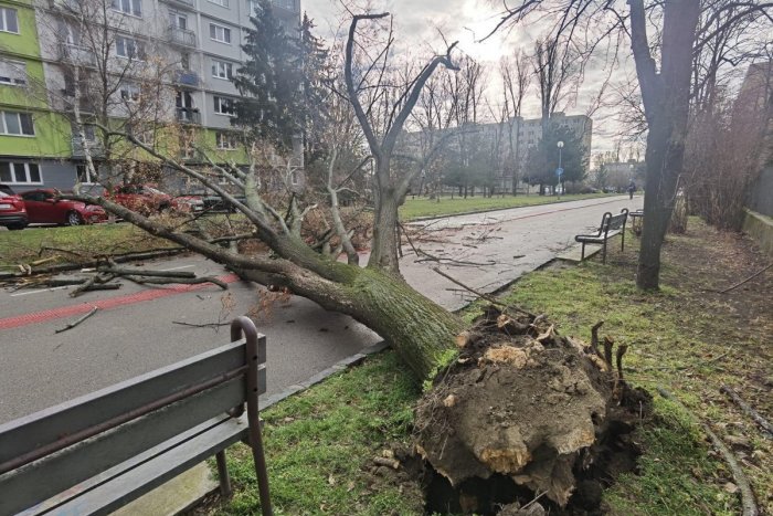 V Bratislave zúri SILNÝ nárazový vietor: Môže byť NIČIVÝ, do lesov a parkov NECHOĎTE!