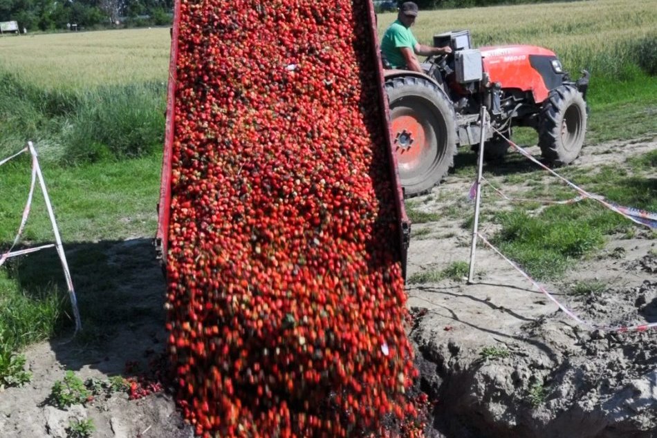 VEĽKÉ problémy vo vychýrenom samozbere: TONY… | Bratislava24.sk